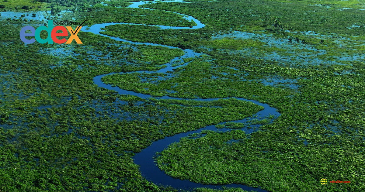Kerala loses 58 hectares of wetlands in 5 years