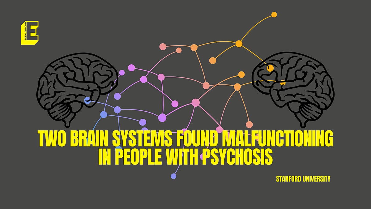 Stanford Study Reveals Two Brain Systems Malfunctioning in People with ...
