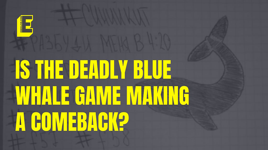 All about the Blue Whale game that allegedly led to death of an Indian ...