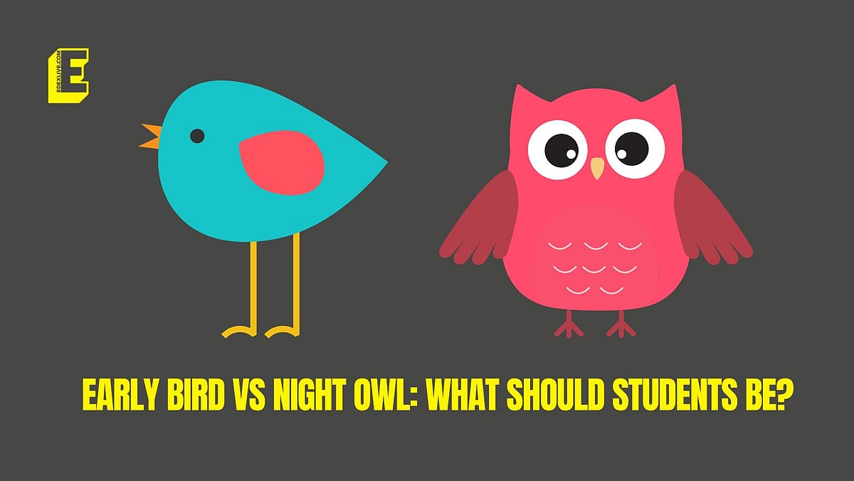 Early Bird vs Night Owl: Which is Better for Student Productivity?