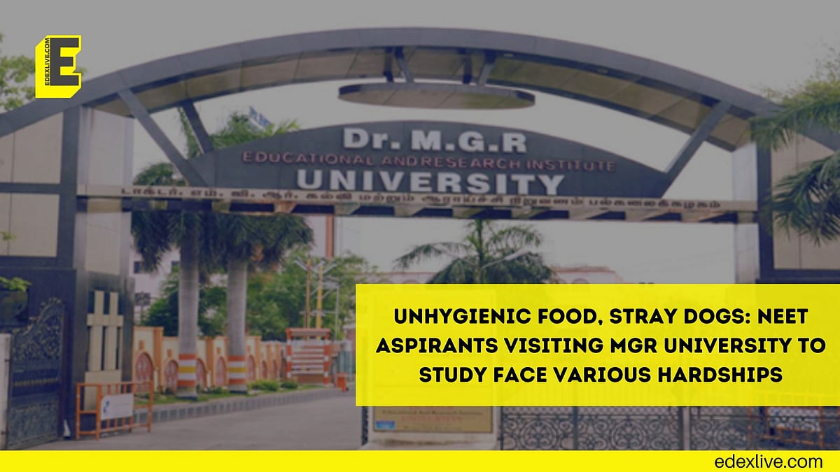 Foul smells, stray dogs, bag food cooked in unhygienic surroundings ...