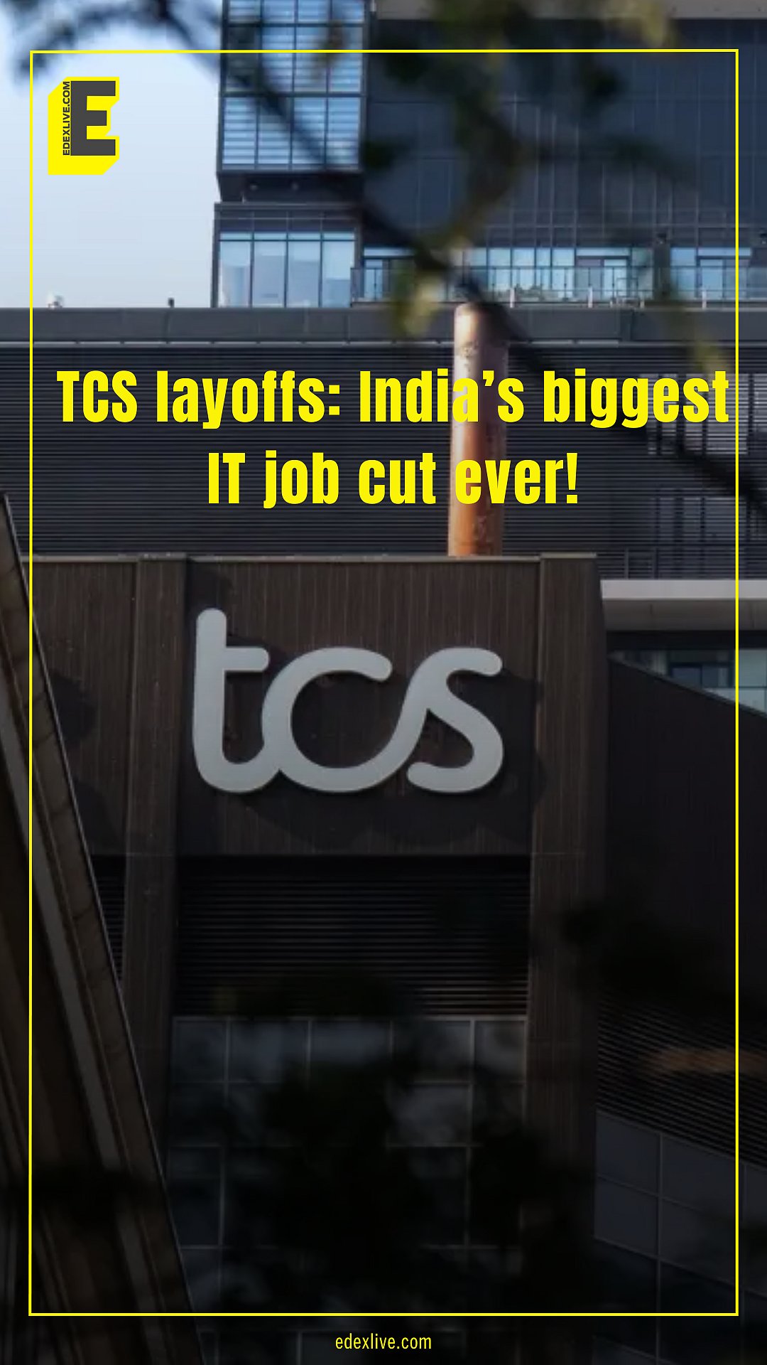 India’s biggest IT job cut ever as TCS lays off 12000 employees