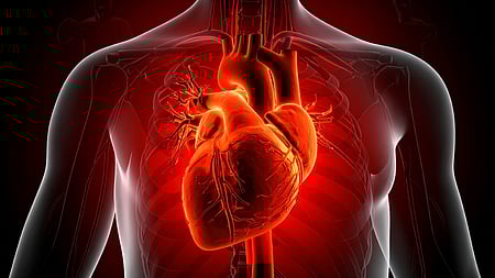 Men at higher early risk of heart disease than women: Study