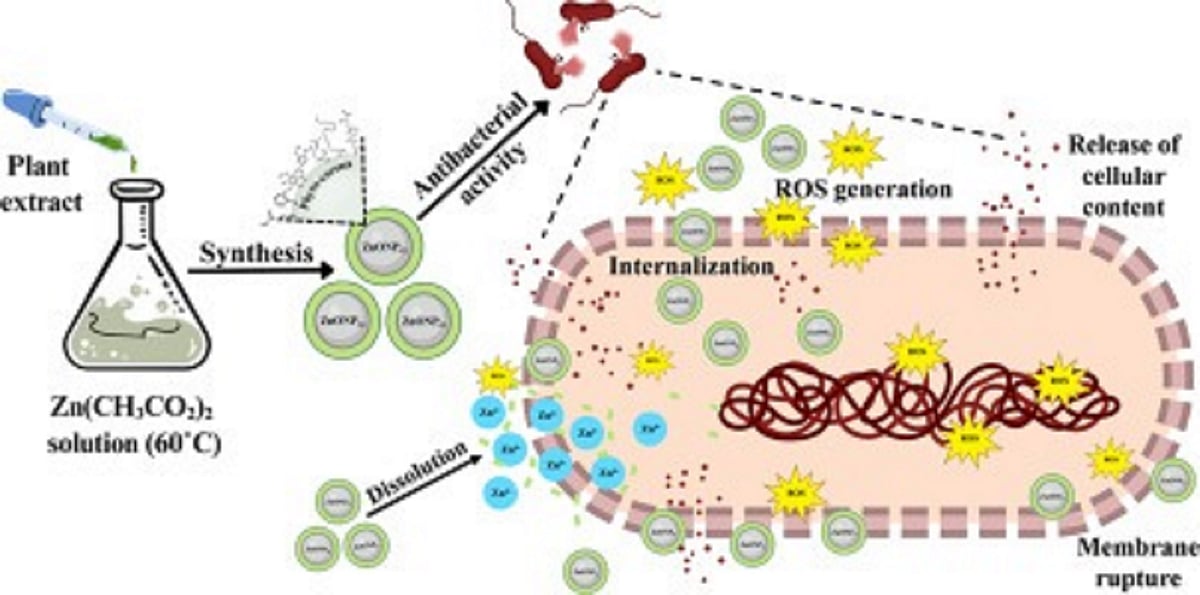 NIT Rourkela develops green solution to combat antibiotic resistance
