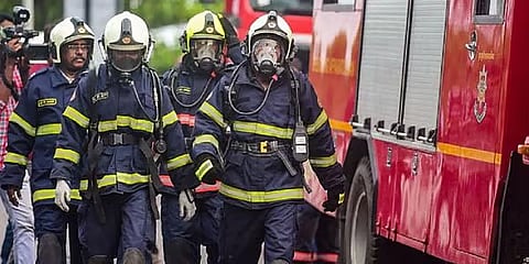 Dog rescued from icy pond by Rhode Island firefighters