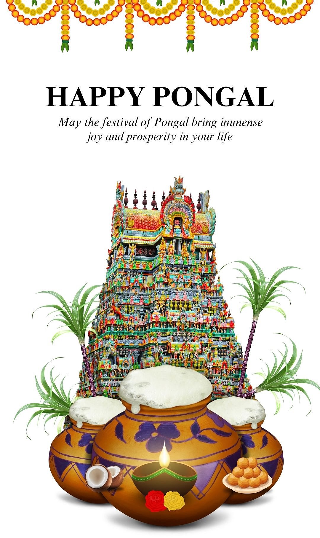 Pongal: Honouring Nature and Farmers