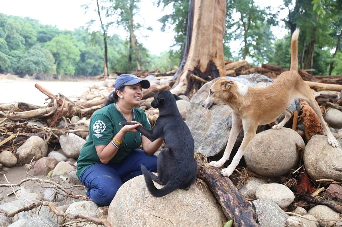 Meet Sally Varma, every Kerala stray's fairy dog-mother!