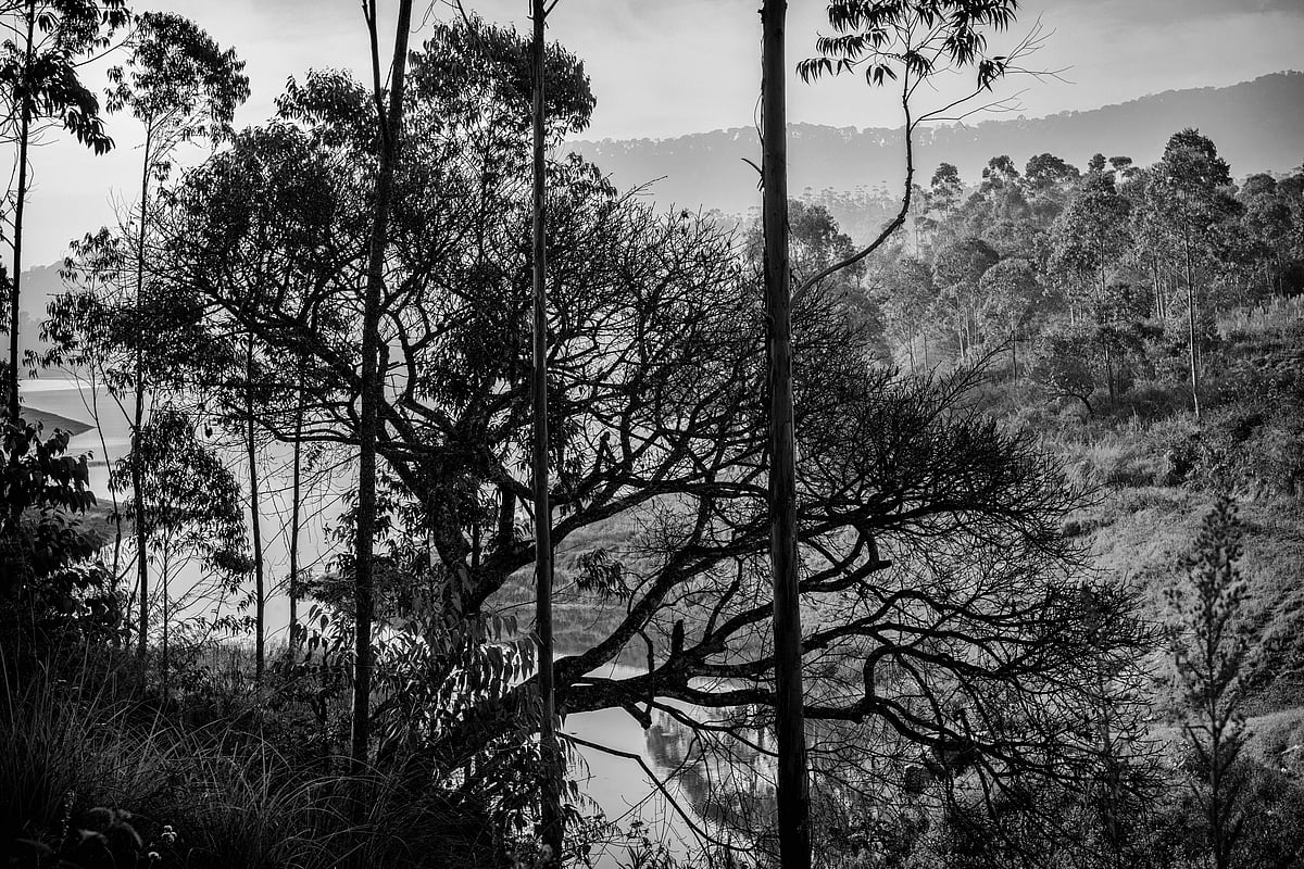 Amita Talwar is passionate about photography and believes in sharing ...