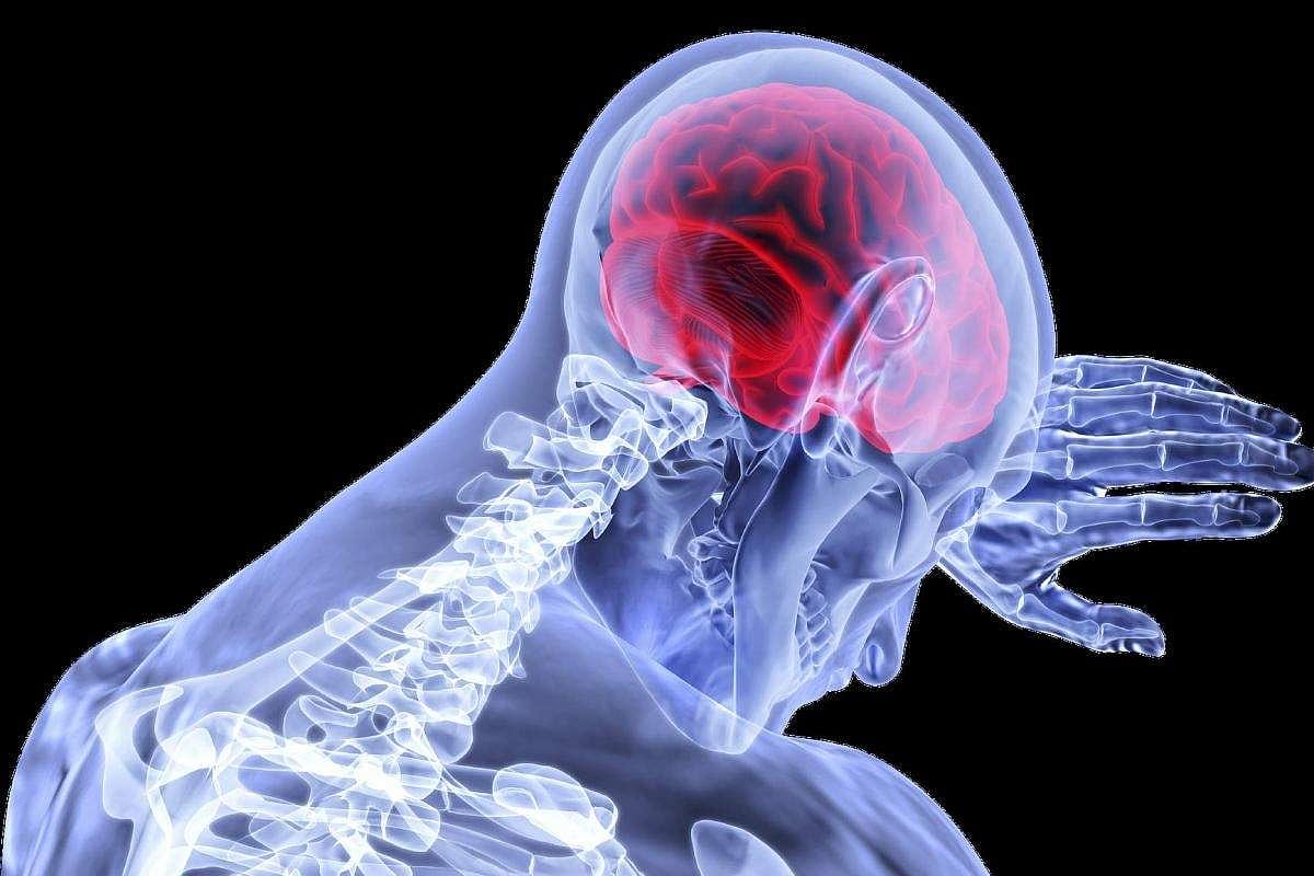 Study finds brain areas involved in finding out whether a bad event is ...